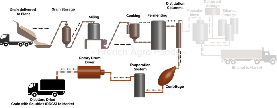 Nutrigo Feeds: DDGS (Distillers Dried Grain Solubles) Manufacturers ...