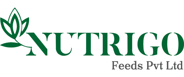 Nutrigo Feeds: DDGS (Distillers Dried Grain Solubles) Manufacturers ...