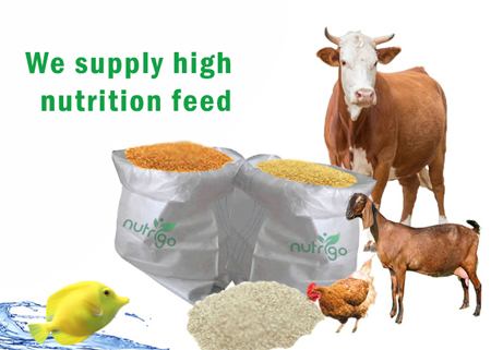 About Us - Nutrigo Feeds Pvt Ltd